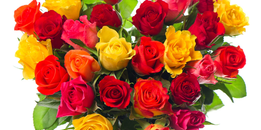 Significado de las flores en San Valentín - ASOCAN